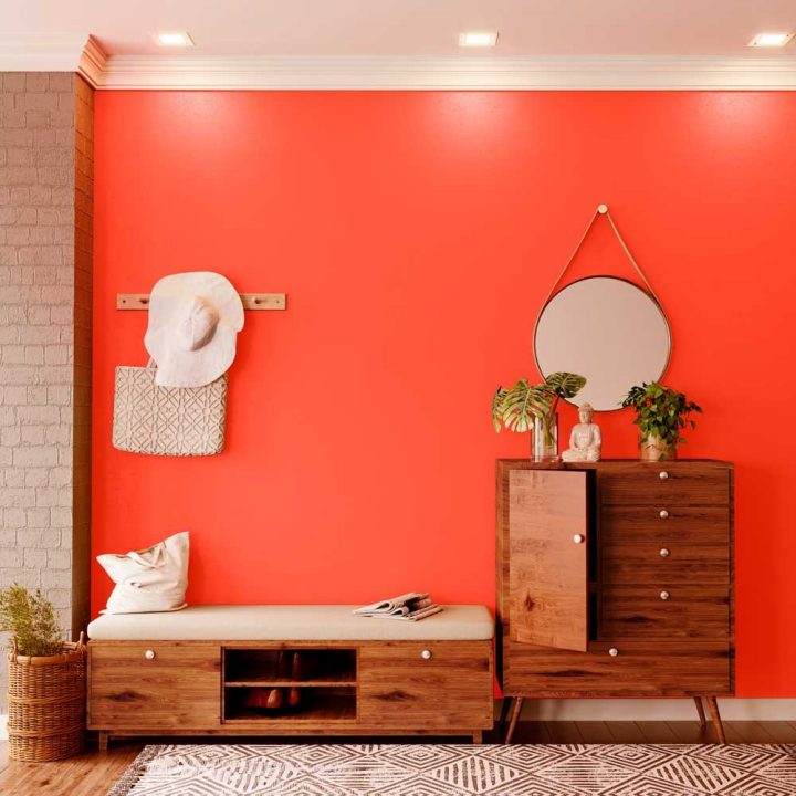 Sahara Colour